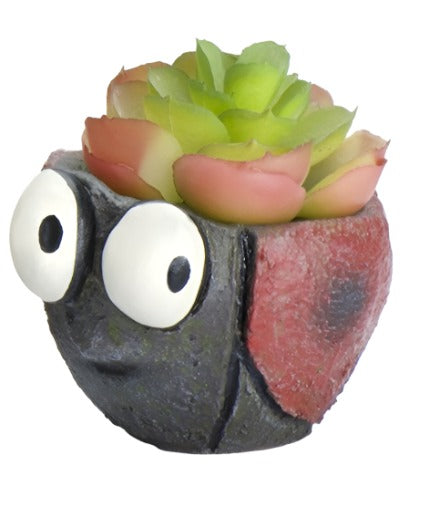 Ladybug Planter 2.75" – Rock Gardens