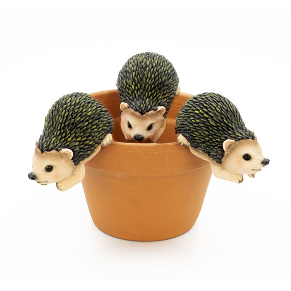Hedgehog Medium Pot Hanger – Rock Gardens
