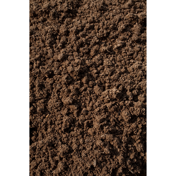 Black Dirt Pulverized – Rock Gardens